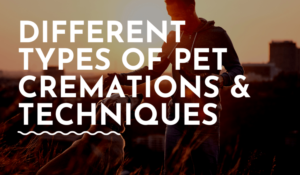 5 Different Types of Pet Cremations & Techniques - PetDeparted