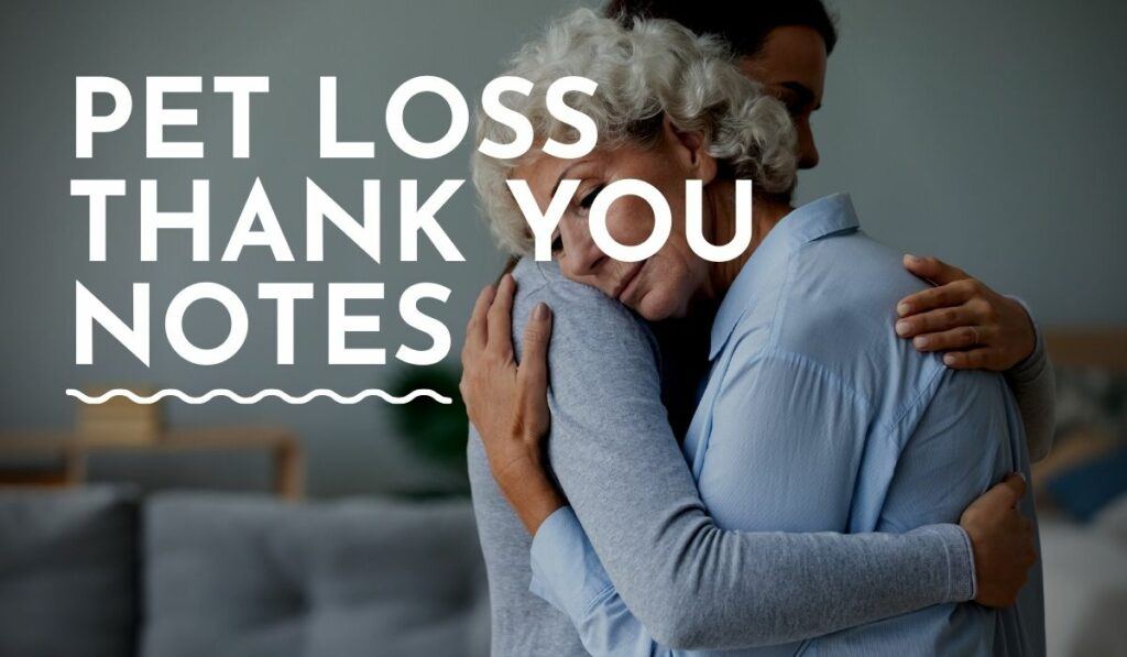 25 Pet Loss Thank You Notes to Thank Someone For Their Support