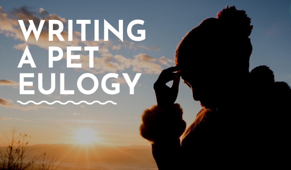 How to Write a Eulogy for Your Pet: A Heartfelt Tribute Guide
