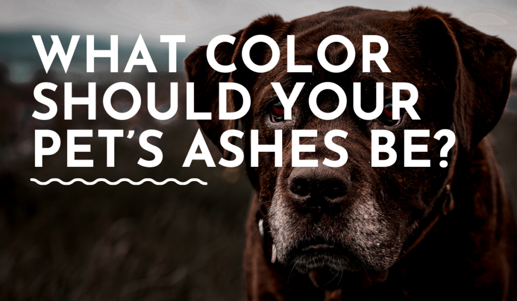 What Color Should Your Pet’s Ashes Be? - PetDeparted