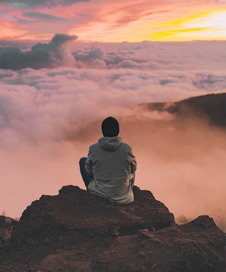 Can Pets Reincarnate? Exploring the Belief in Pet Reincarnation