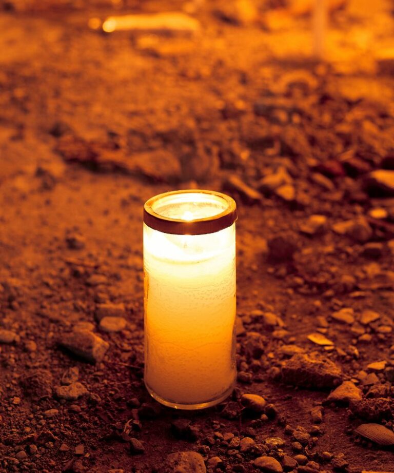 What are Pet Cemeteries (& How to Choose One)?