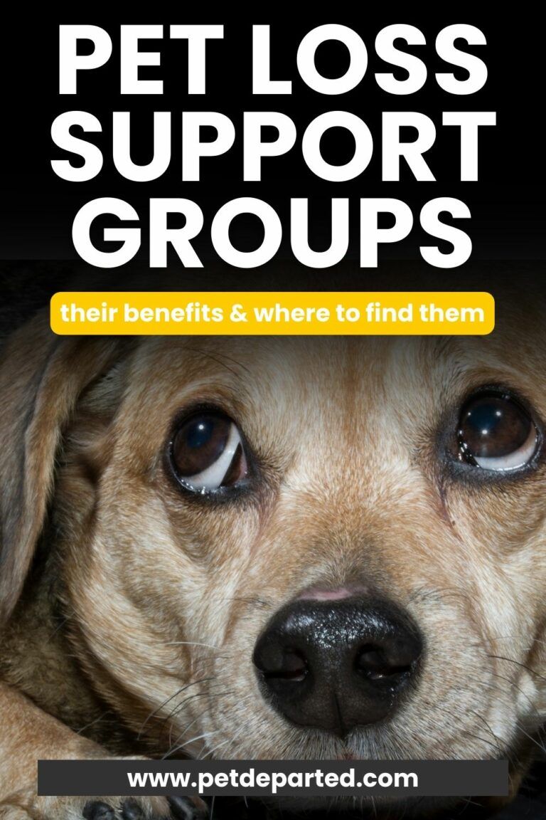 The Benefits of Joining a Pet Loss Support Group (& How to Find Them)