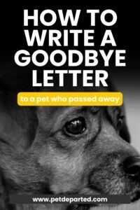How to Write a Goodbye Letter to a Pet Who Has Passed Away (w/ Examples)